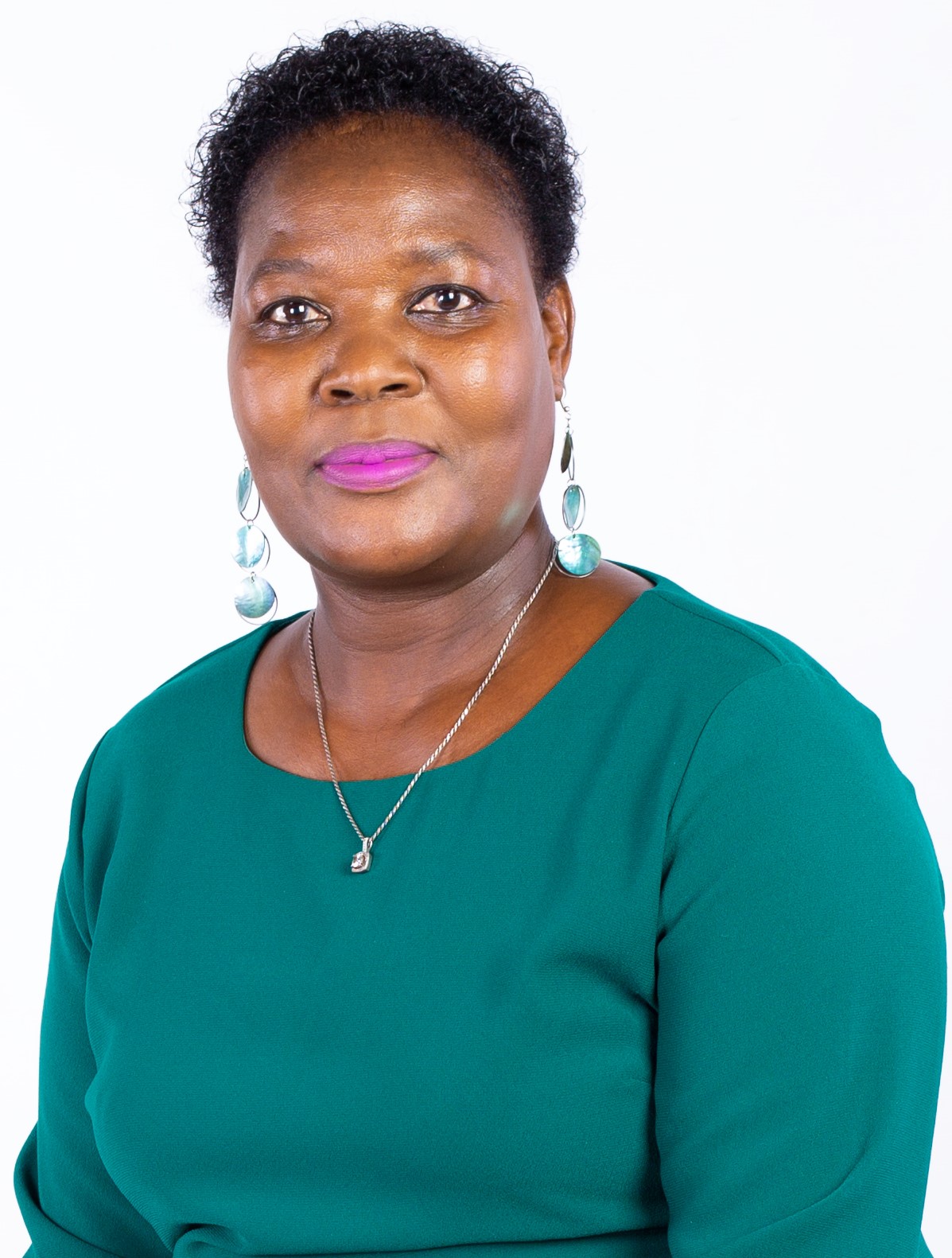 Mayoral Committee – CDM