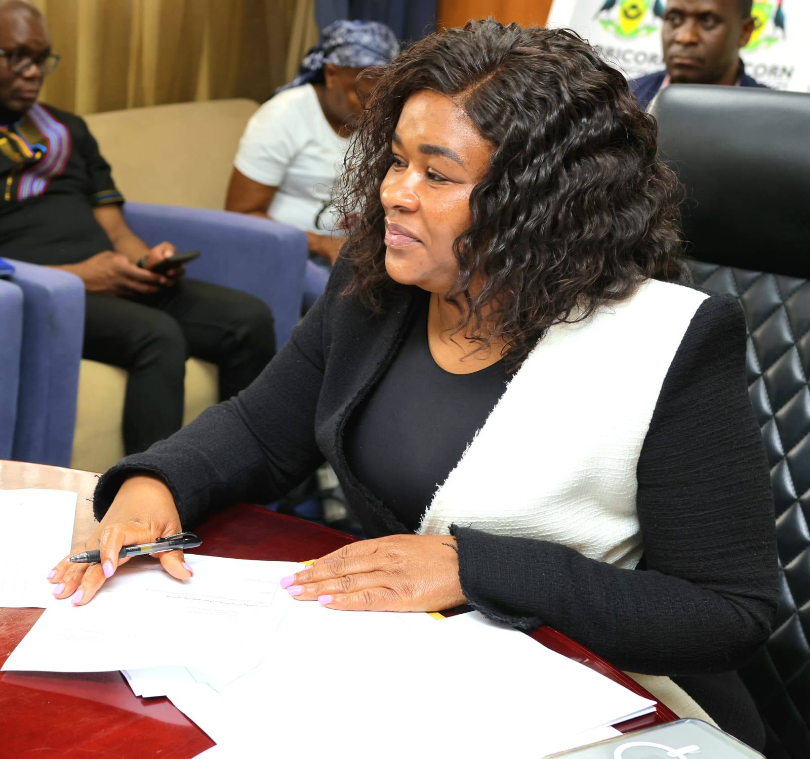 AUDITOR GENERAL PRESENTS CDM AUDIT STRATEGY FOR 2024/2025 – CDM